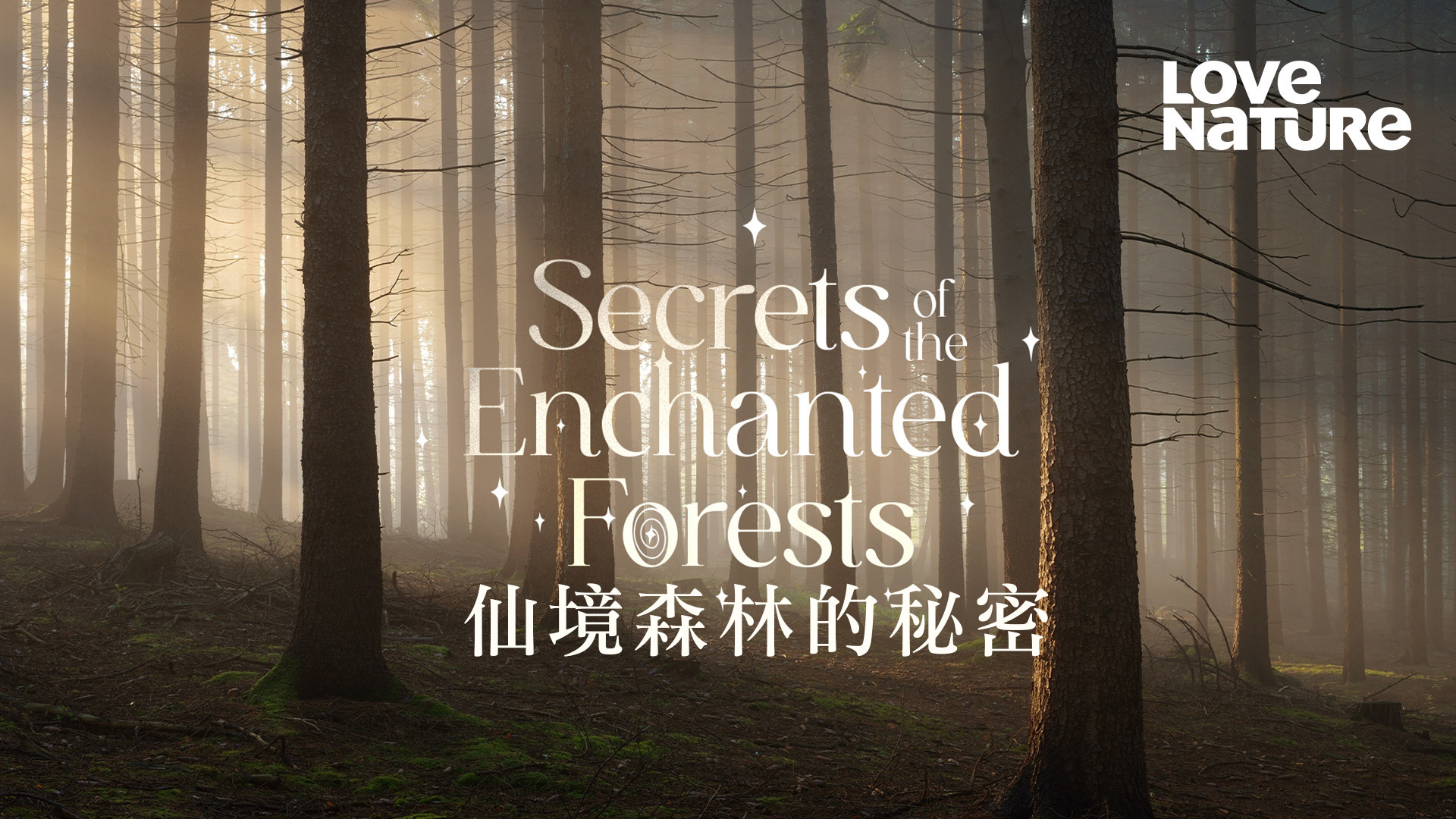 Luke Lovell | Exec /Series Producer/Shooting PD/PrEditor | The Talent ...