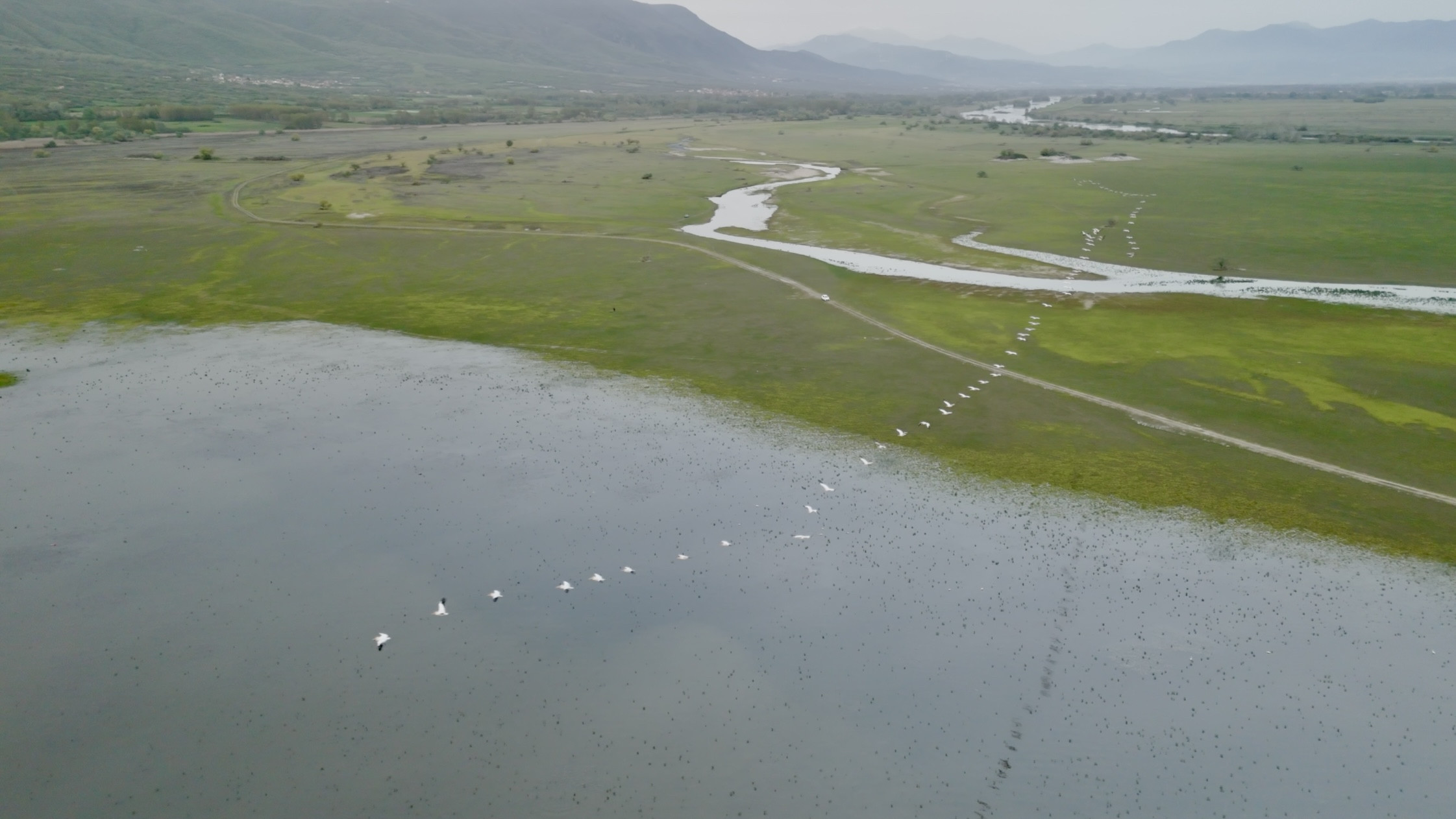 Natalie Clements shared an image on the TM Hub