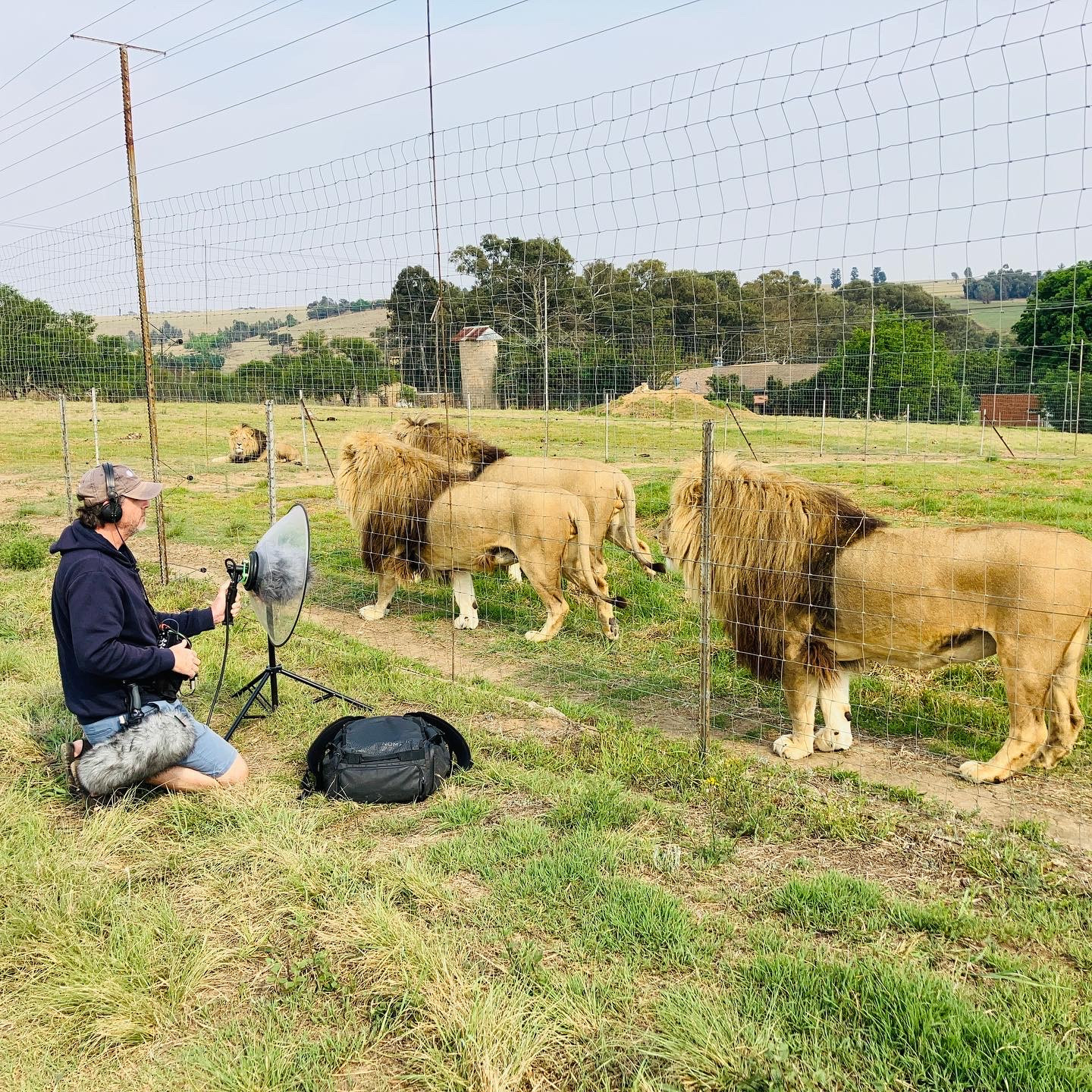 Sebastian Dunn shared 2 images on the TM Hub