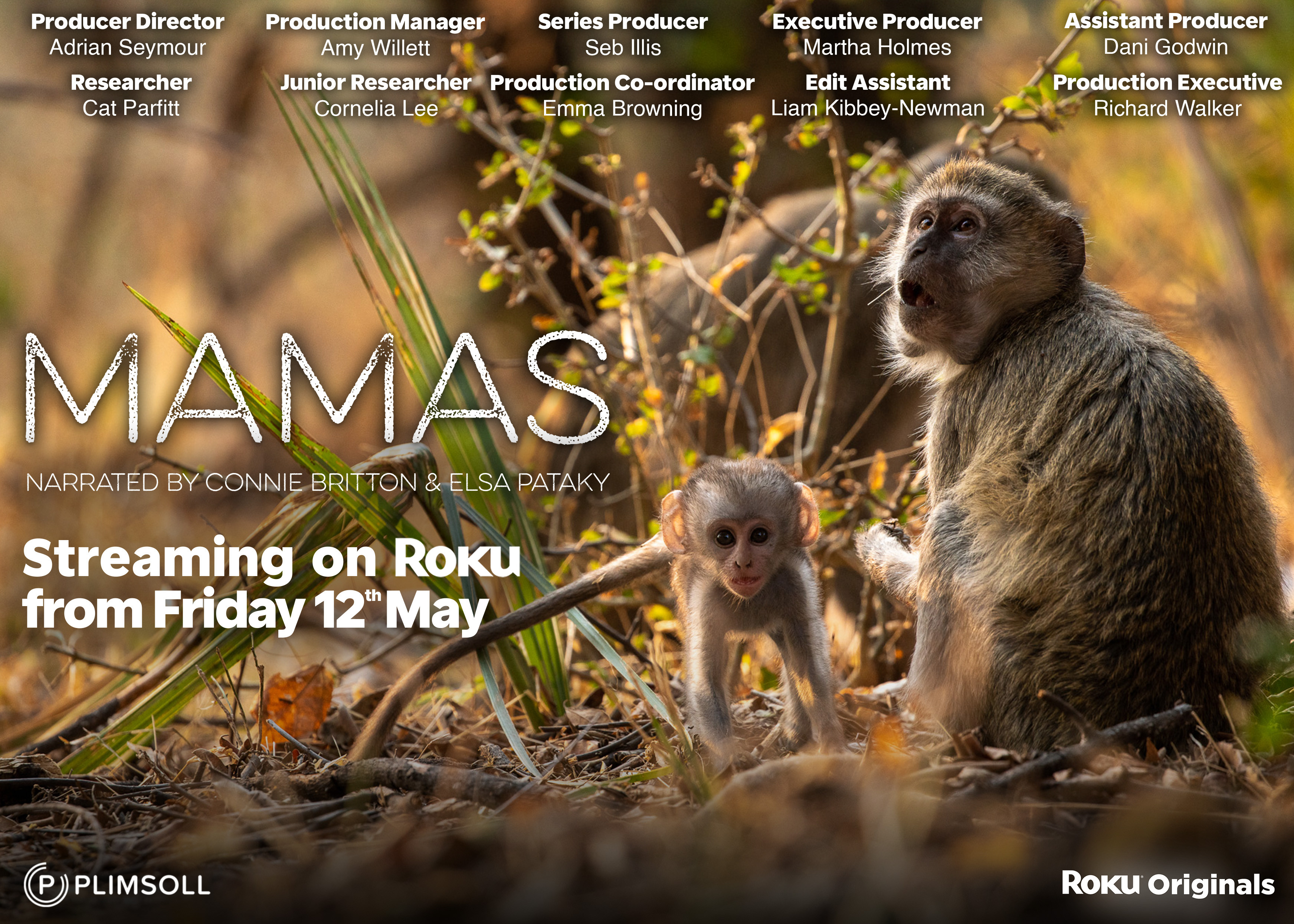 Amy Willett shared an image on the TM Hub