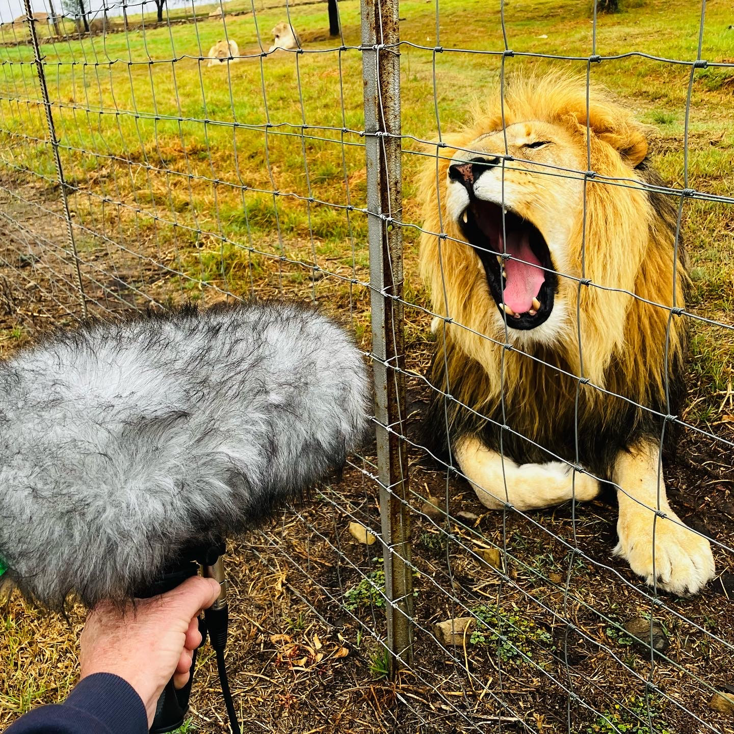 Sebastian Dunn shared 2 images on the TM Hub