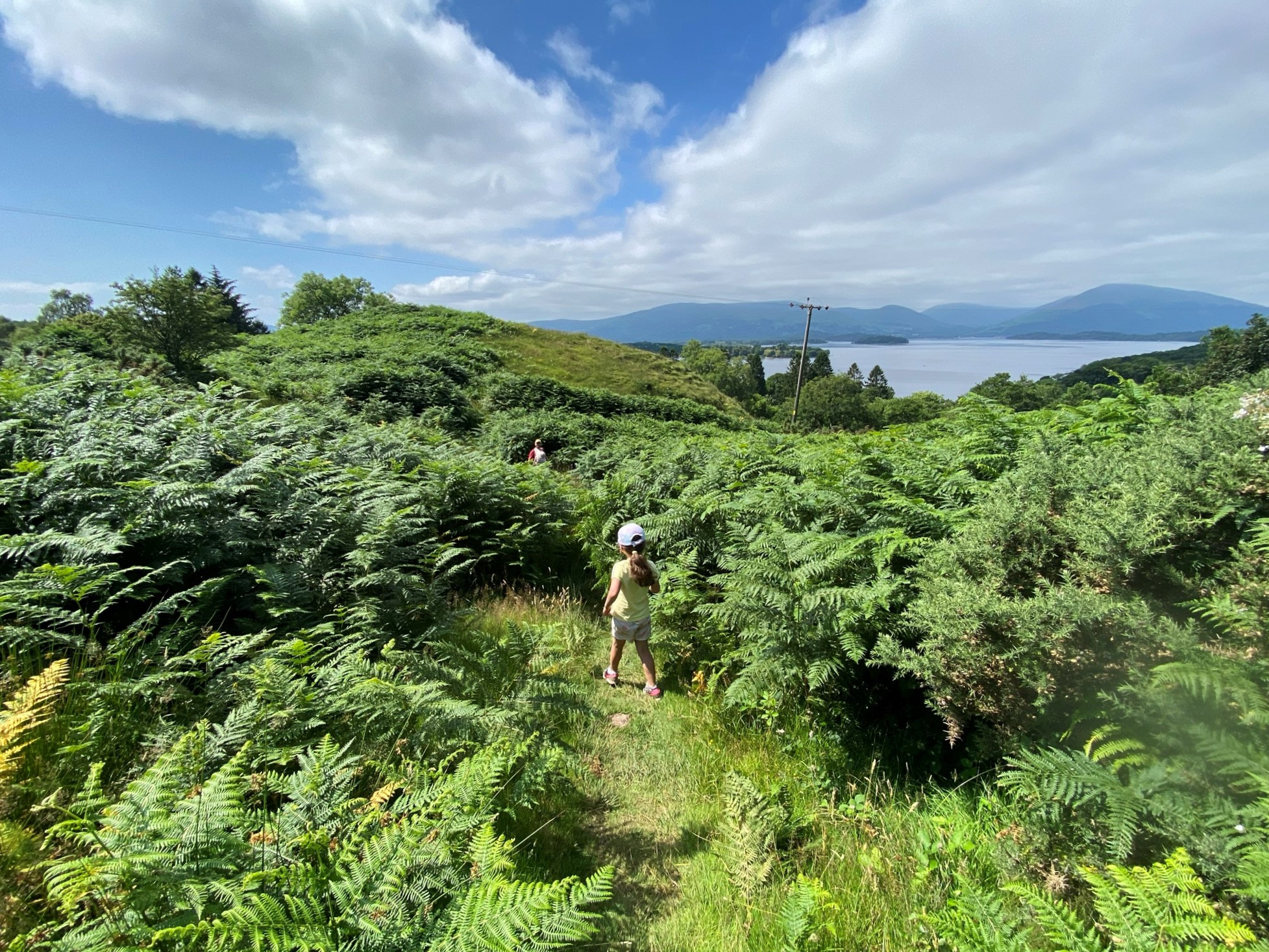 Julia Bird shared a link from www.thetalentmanager.com on the TM Hub