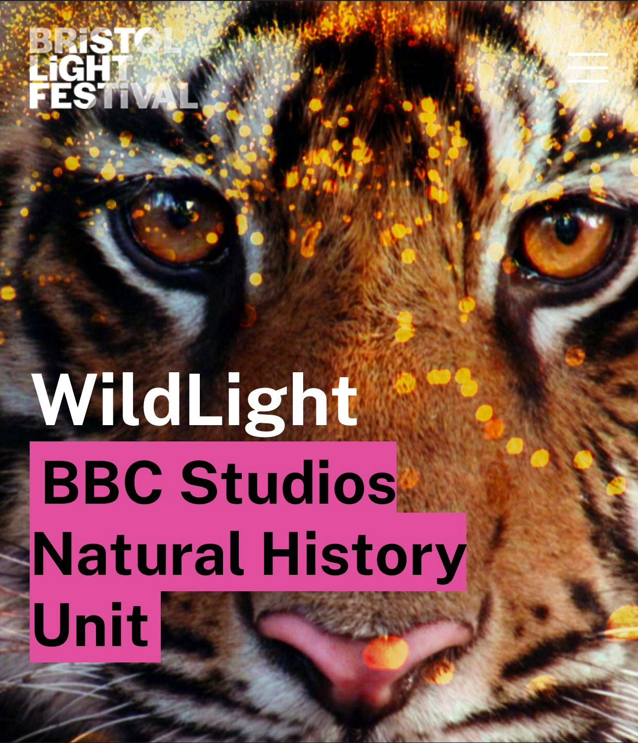 Ryan Patterson shared 2 images on the TM Hub