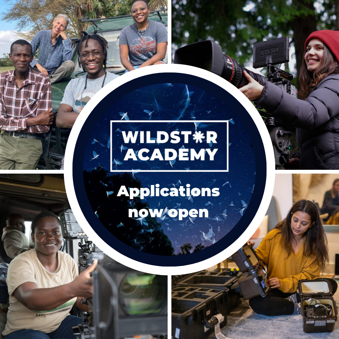 Wild Star shared an image on the TM Hub